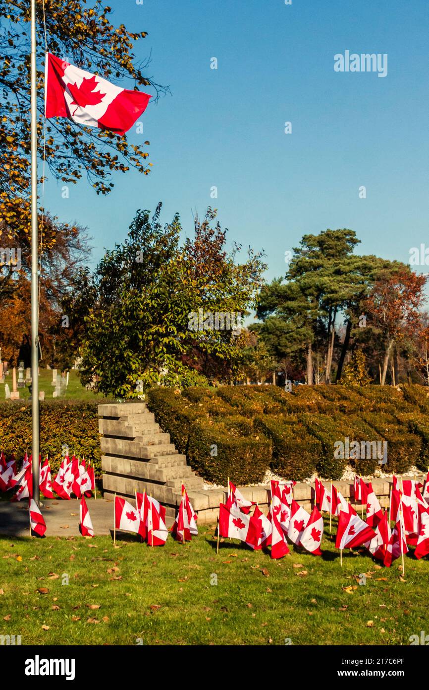 many Canadian flags waving on the ground, celebrating Remembrance Day ...
