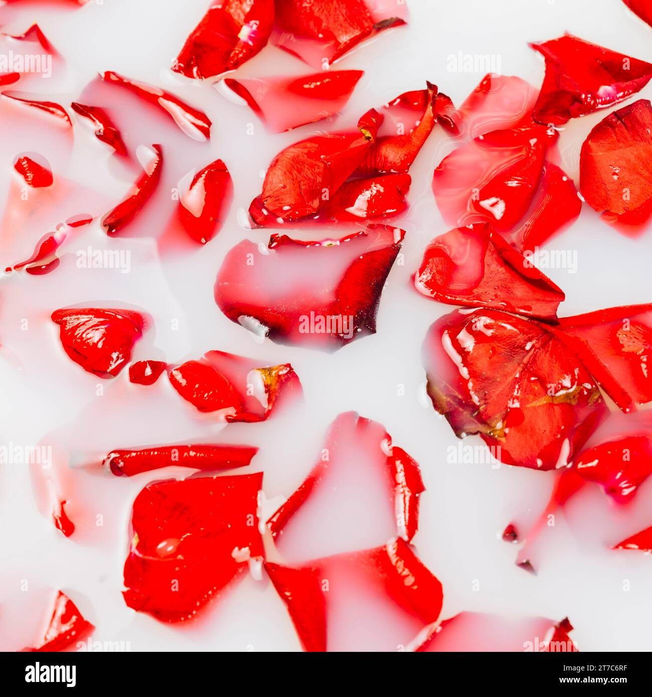 Floating flower arrangement hi-res stock photography and images - Alamy