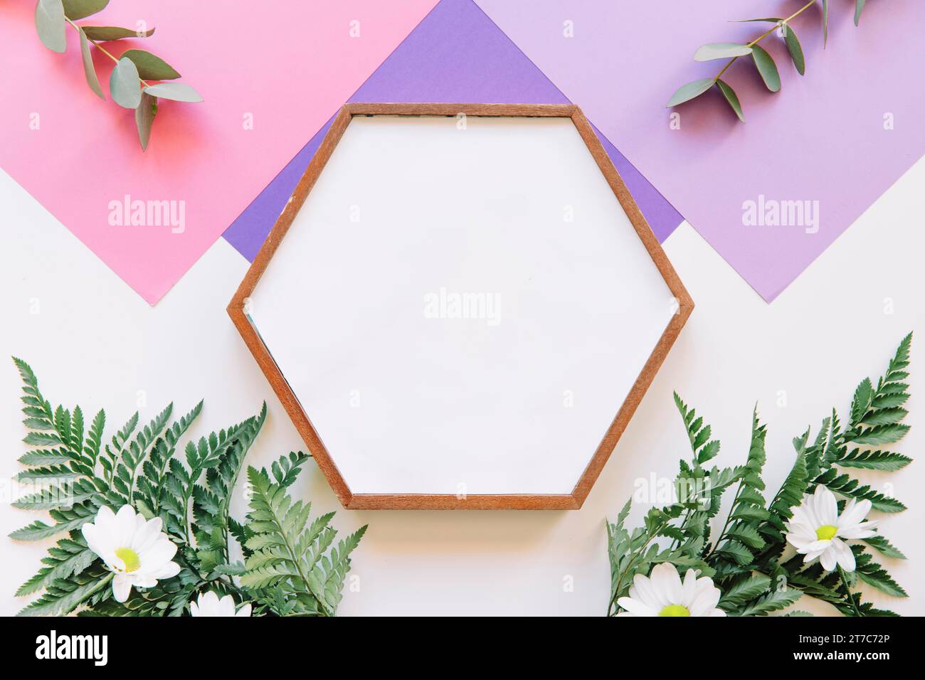 Hexagonal frame hi-res stock photography and images - Alamy