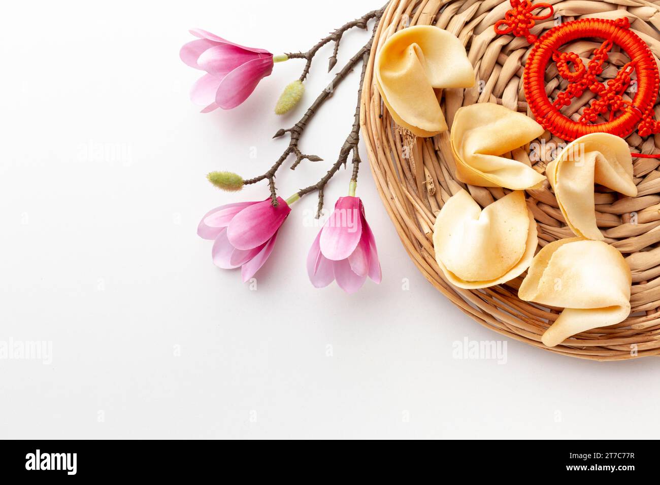 Magnolia blossom against light hi-res stock photography and images - Alamy
