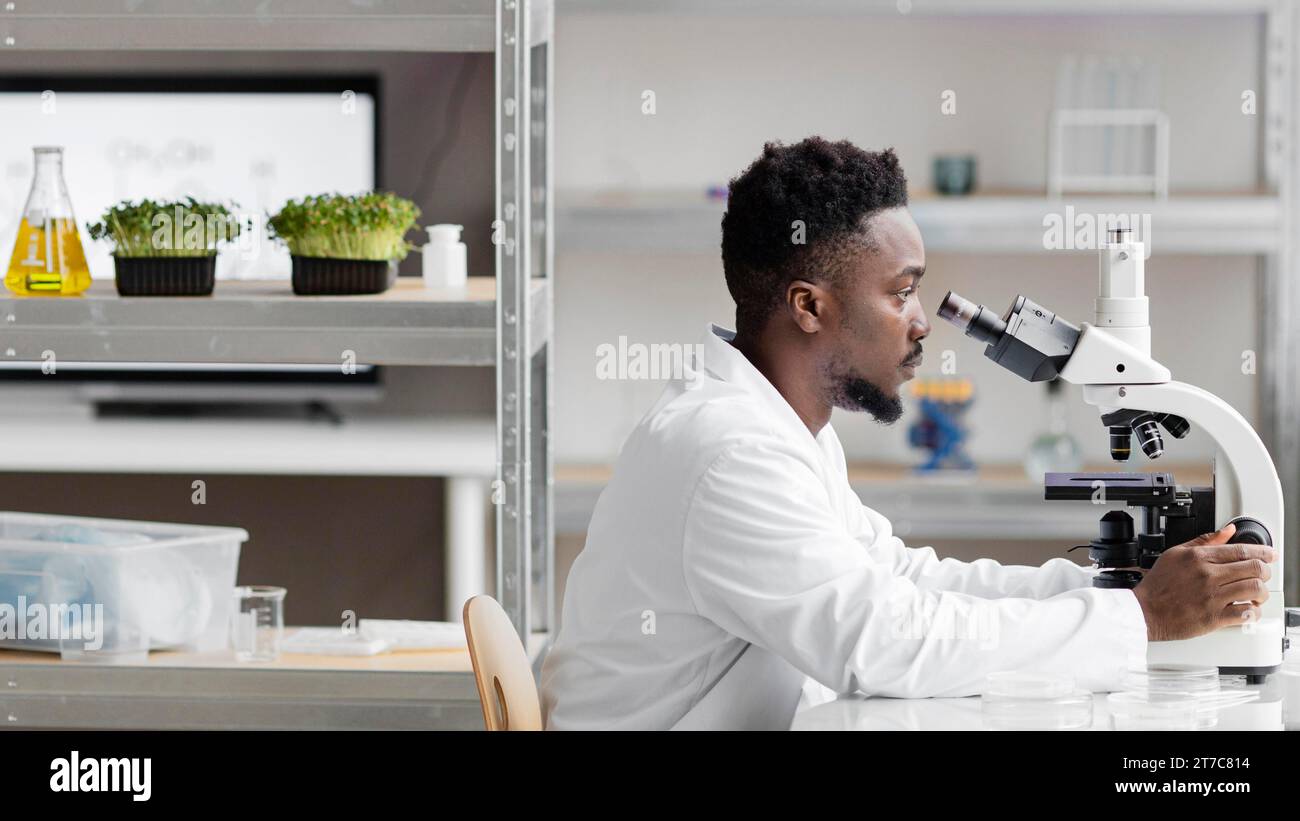 Side view male researcher laboratory looking through microscope Stock ...