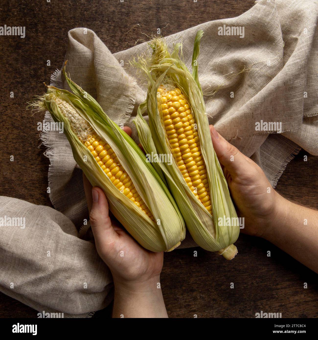 Top view person holding corn Stock Photo - Alamy