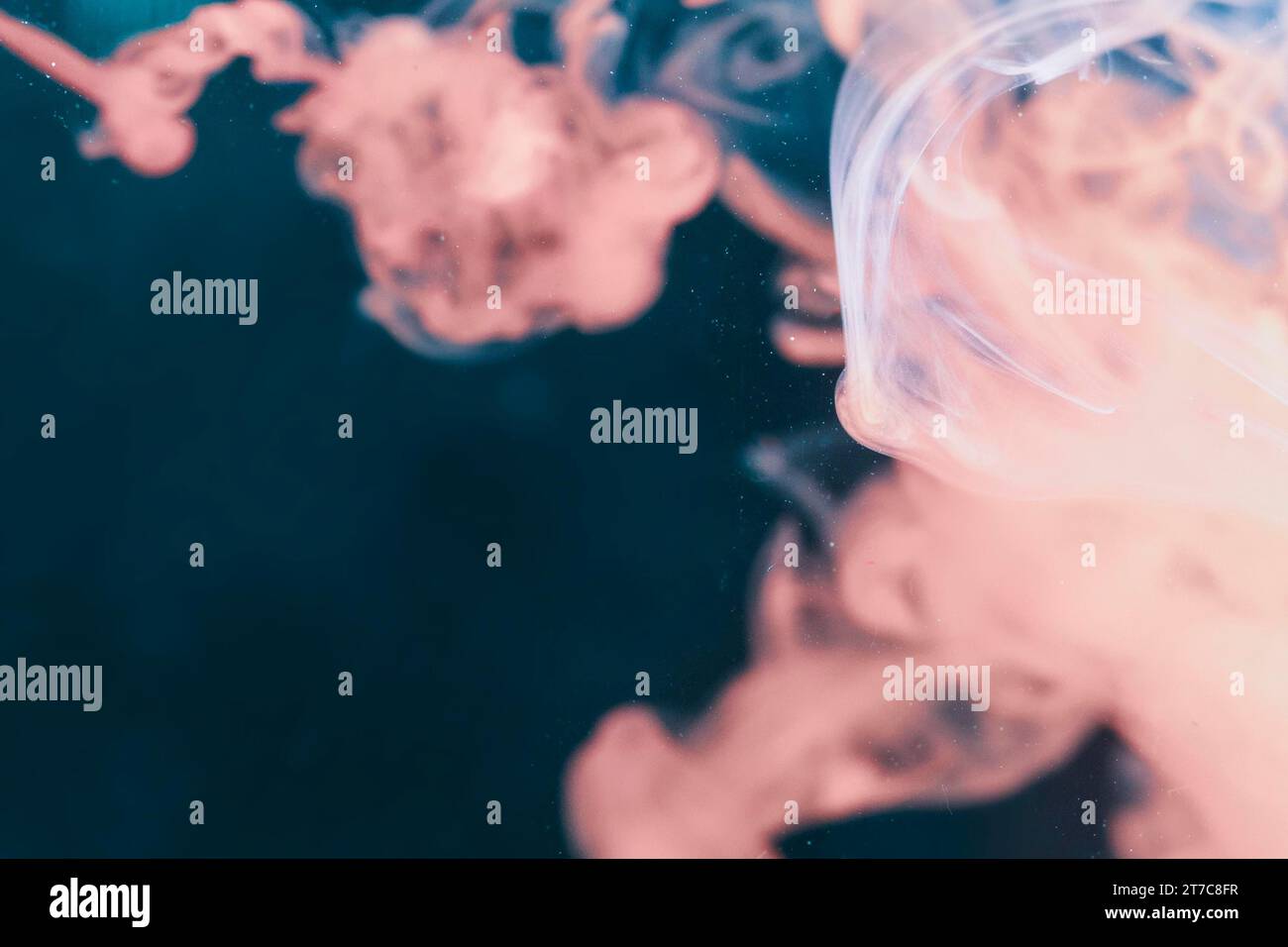 White pink smoke black screen Stock Photo - Alamy