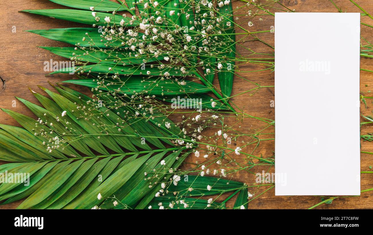 Wedding menu leaves hi-res stock photography and images - Alamy