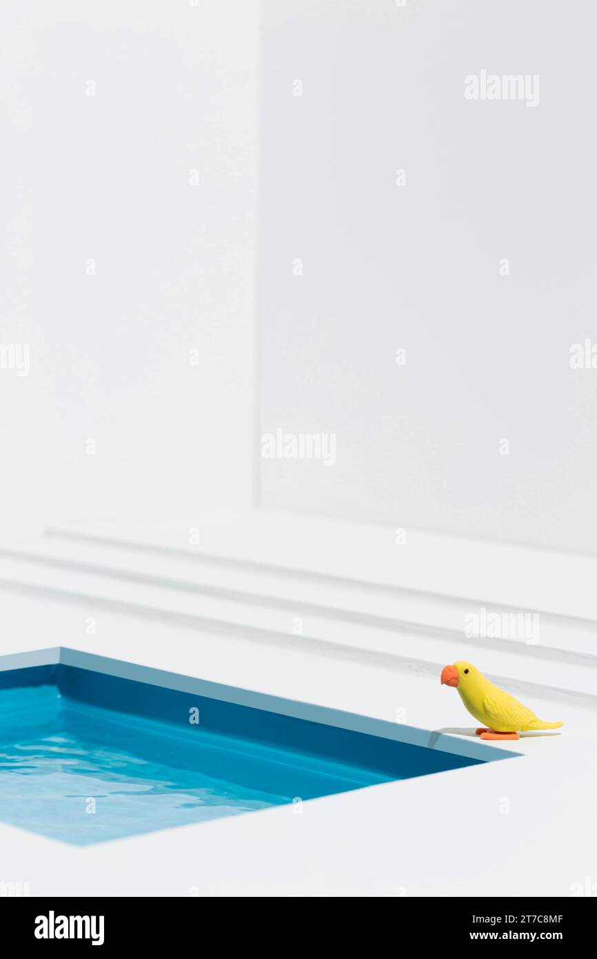 Yellow bird swimming pool Stock Photo - Alamy