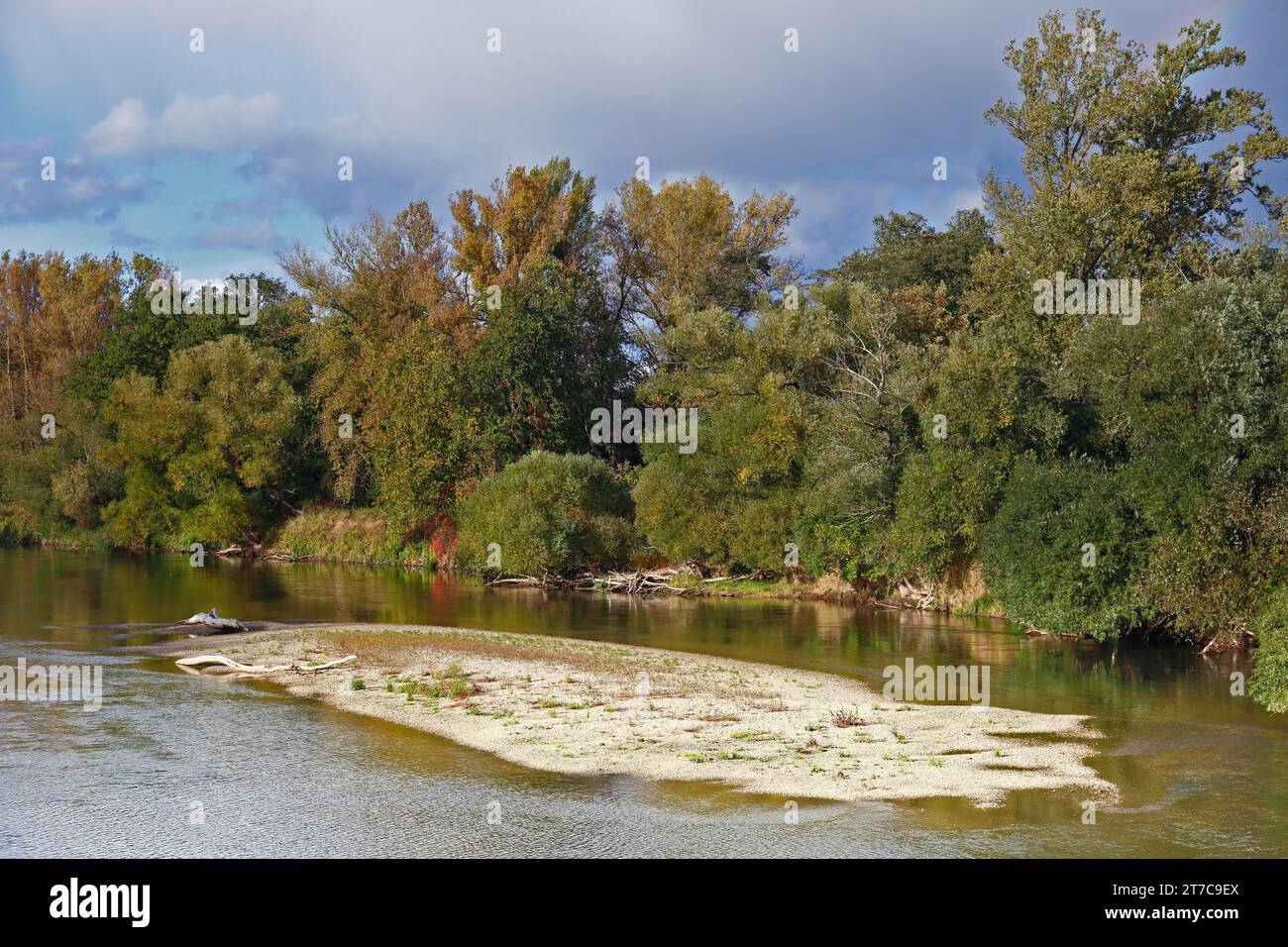 Autumn in the floodplain, view of the river Mulde from the Woerlitz ...