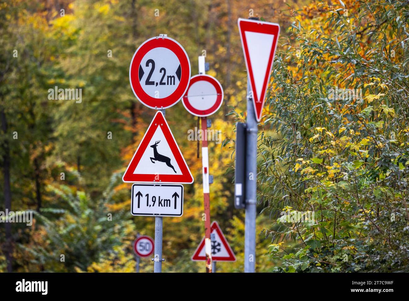 Signpost forest, country road with many traffic signs, Stuttgart, Baden ...