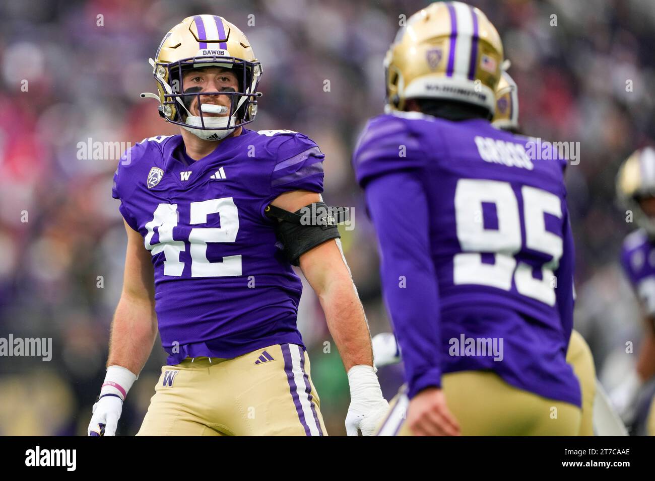 Washington linebacker Carson Bruener (42) looks on with place kicker ...