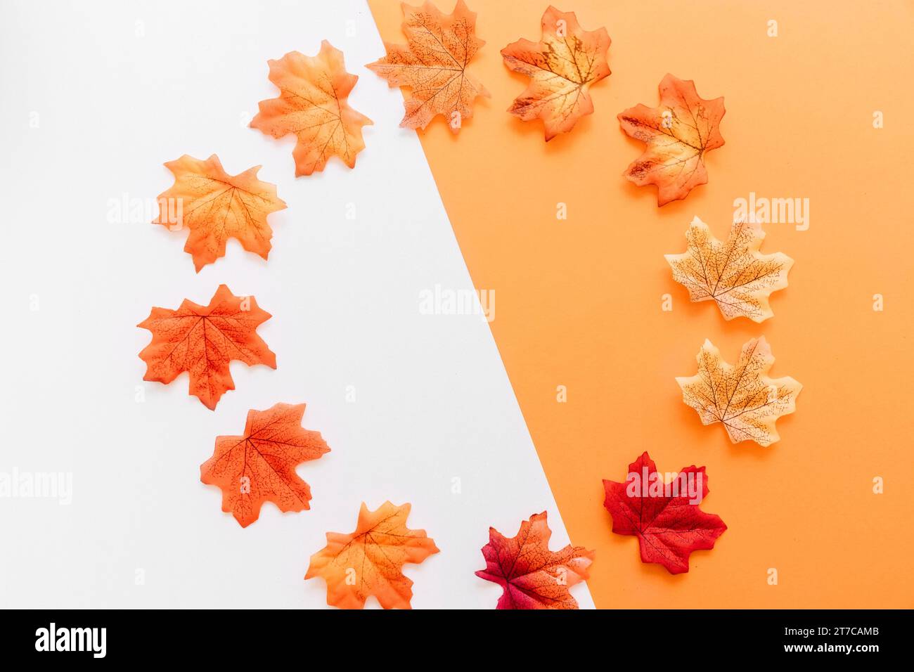 Flat lay autumn leaves placed around boundary Stock Photo - Alamy