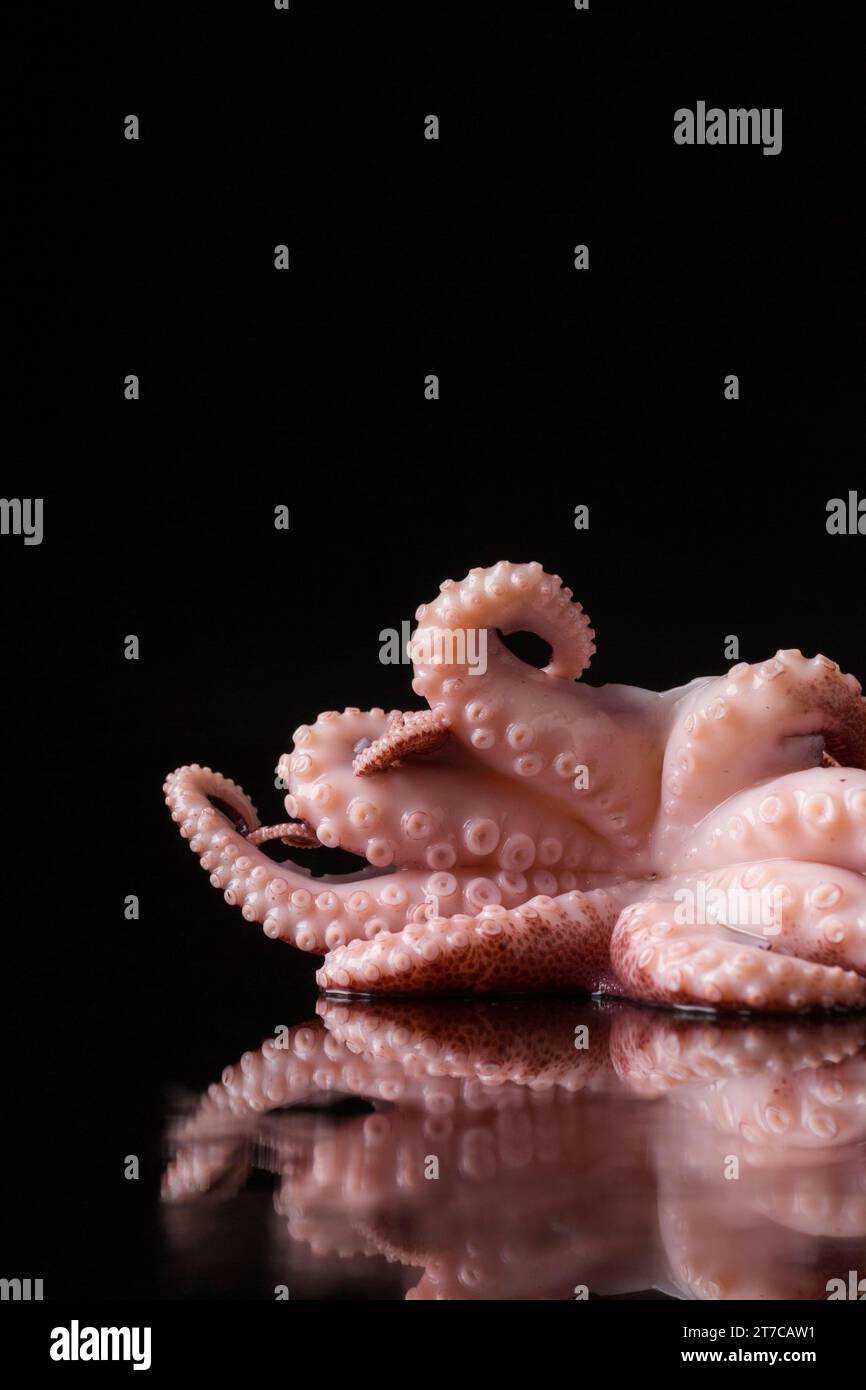 Octopus asia hi-res stock photography and images - Alamy