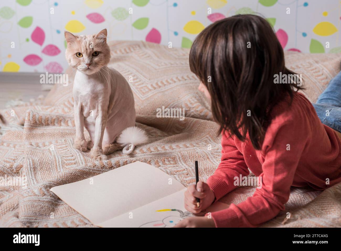 Girl drawing paper looking cat Stock Photo - Alamy