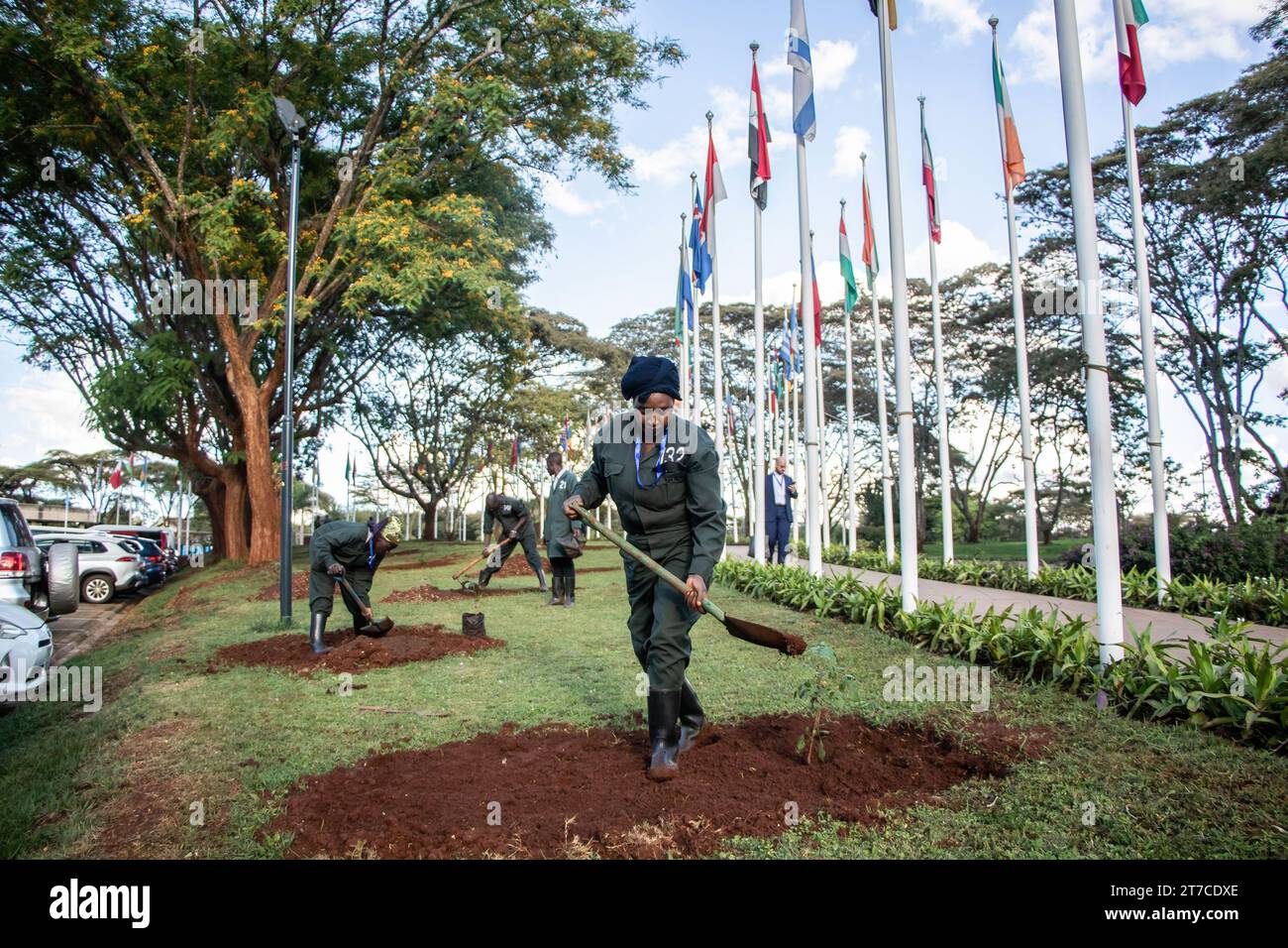 Nairobi, Kenya. 14th Nov, 2023. Workers plant the trees at The United ...