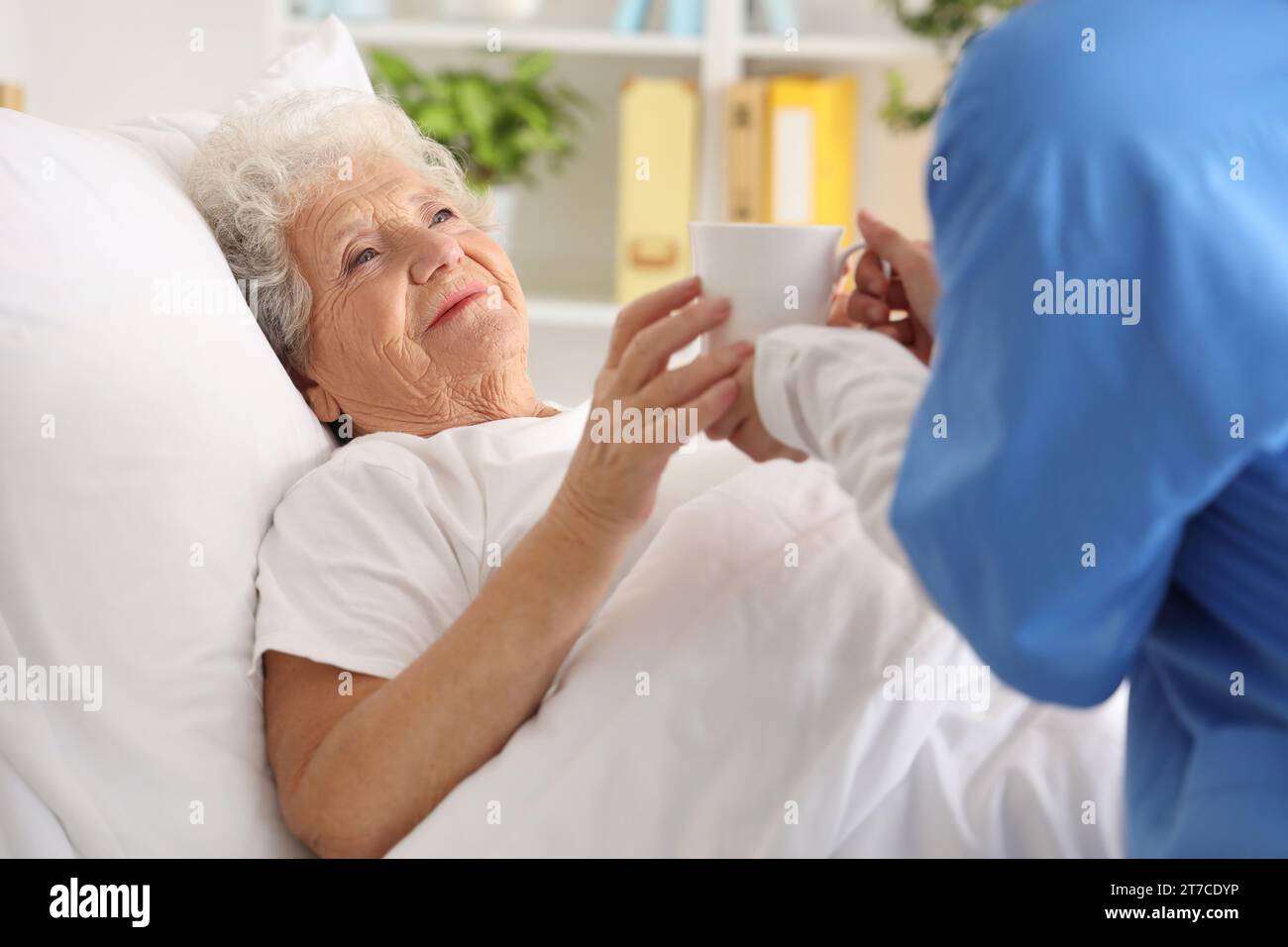 Senior woman taking cup of tea from nurse in bedroom Stock Photo - Alamy