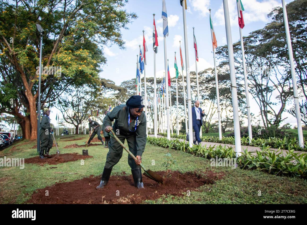 Office tree planting hi-res stock photography and images - Alamy