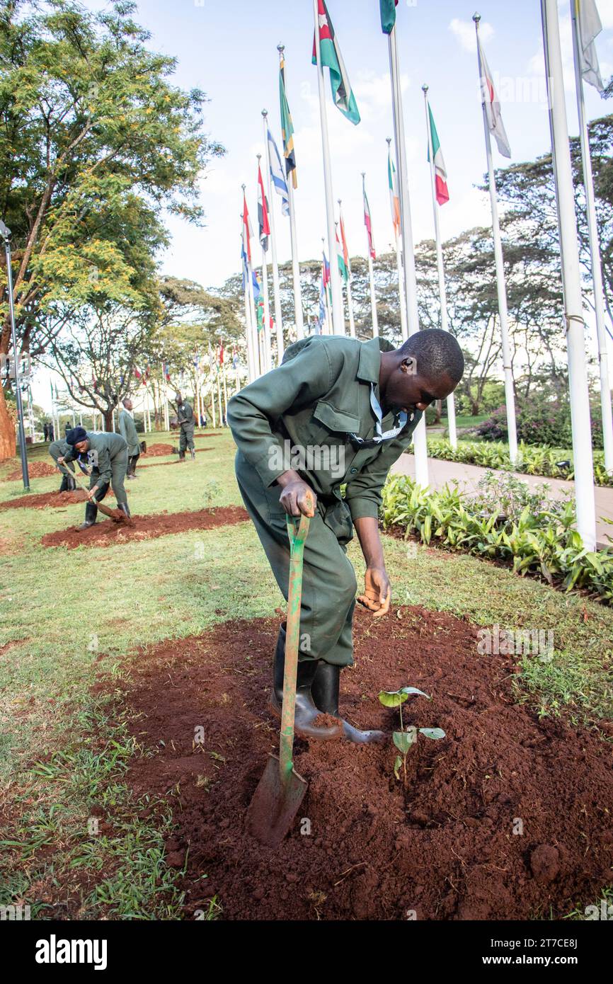 Office tree planting hi-res stock photography and images - Alamy