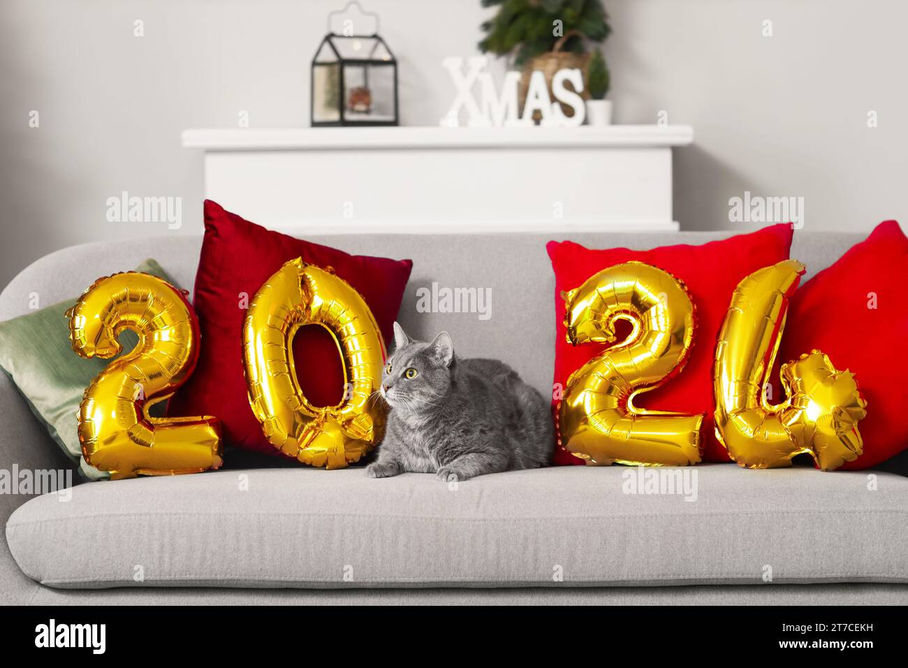 Cute cat with figure 2024 on sofa at home Stock Photo - Alamy