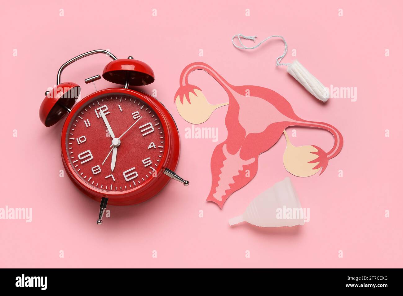 Composition with paper uterus, feminine hygiene products and alarm ...