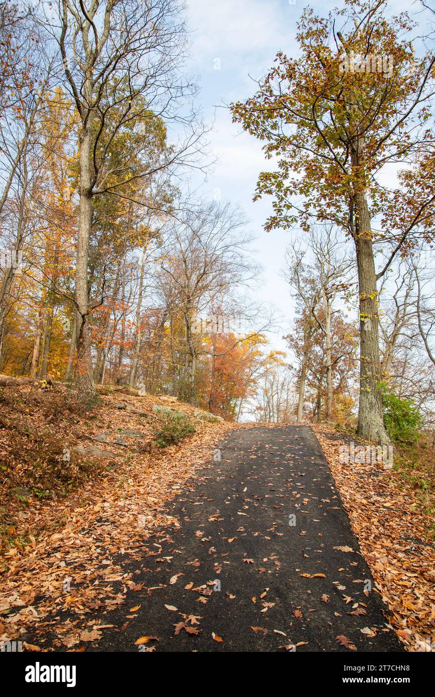 Different angles of footpaths Stock Photo - Alamy
