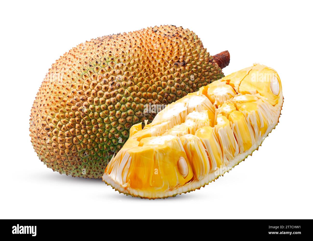 Fresh jackfruit isolated on white background Stock Photo - Alamy