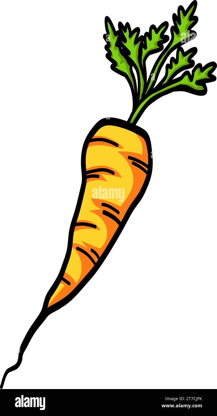 Carrot Drawing Doodle Art Vector Illustration Stock Vector Image & Art ...