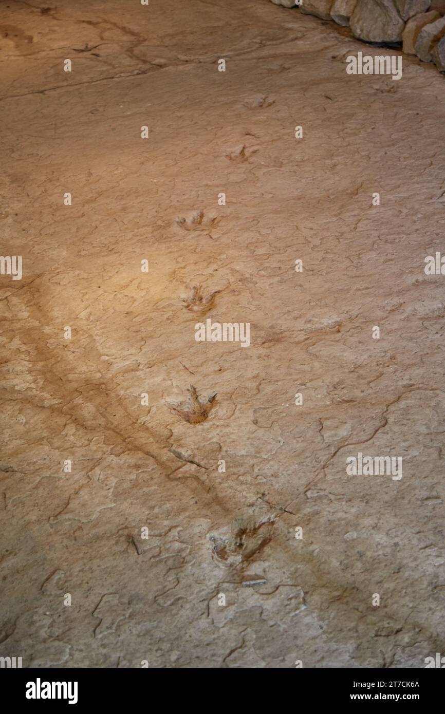 Sataplia Cave outside of Kutaisi, Georgia, is unique for its well ...