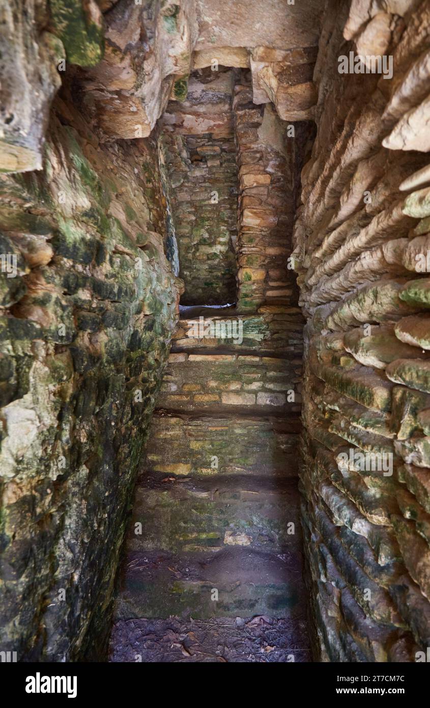 The spectacular Mayan pyramid city of Tonina in Ocosingo, Chiapas Stock ...