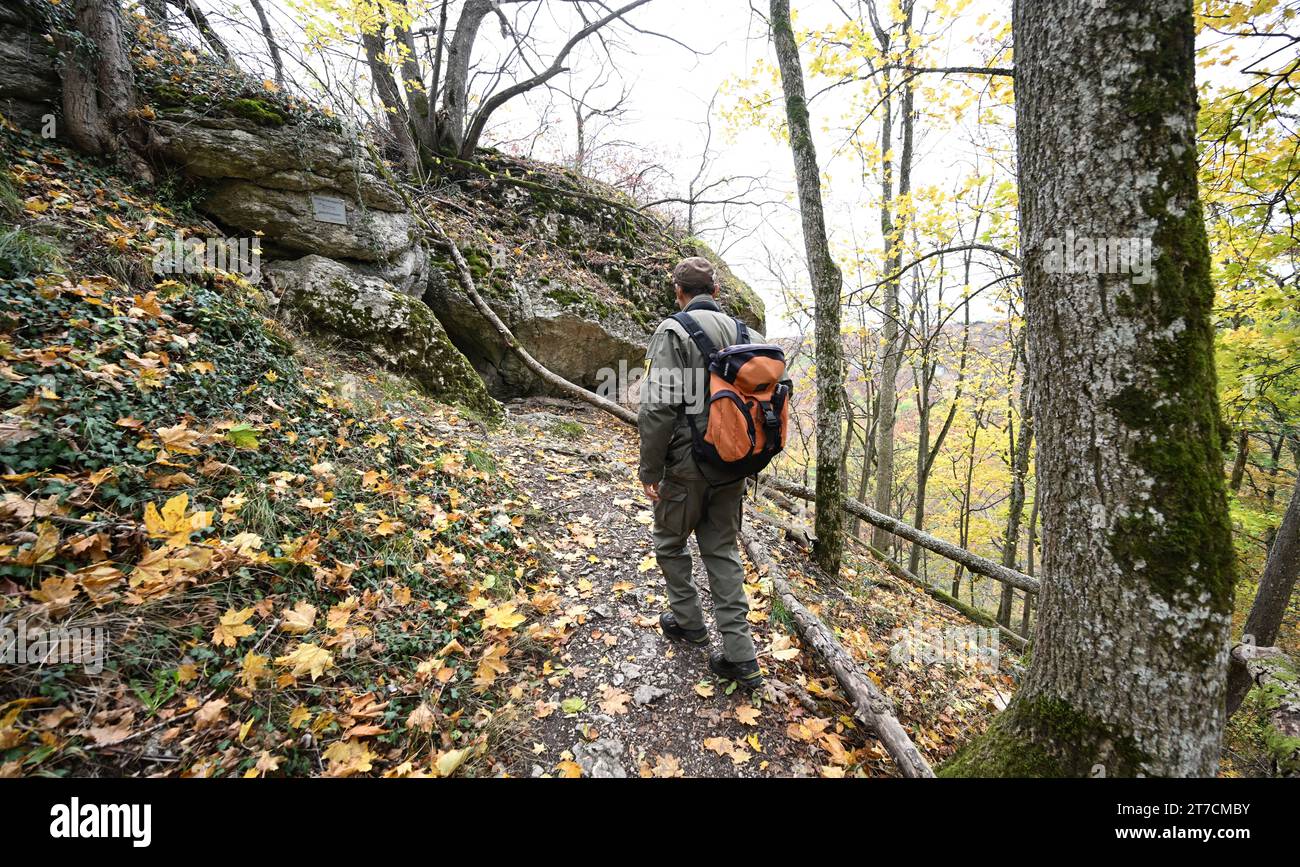 Forest ranger on patrol hi-res stock photography and images - Alamy
