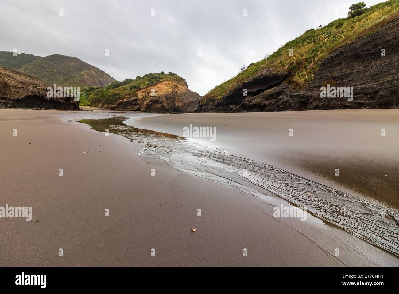 Piha beach hi-res stock photography and images - Alamy