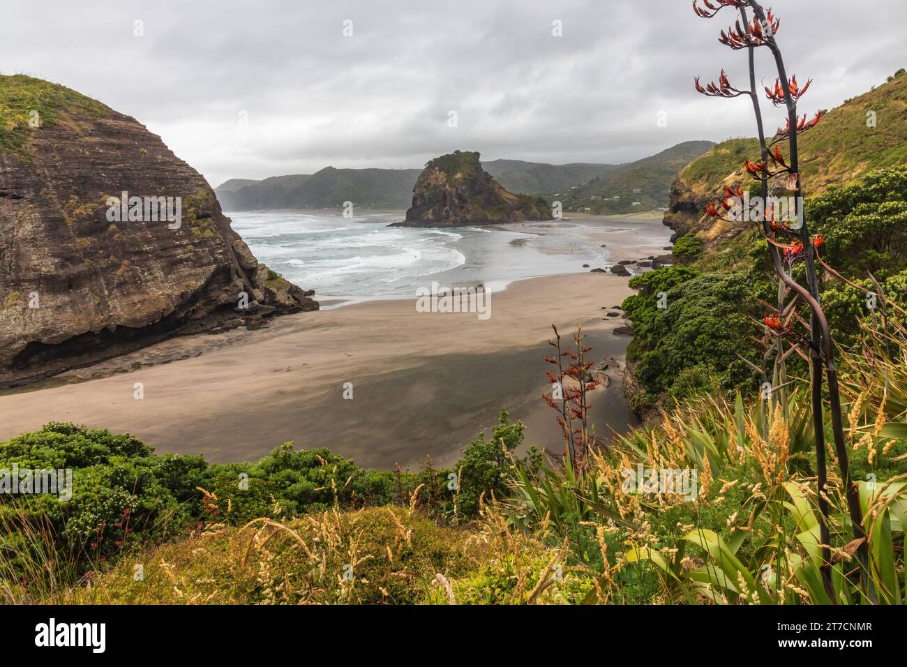 Piha black sand hi-res stock photography and images - Alamy