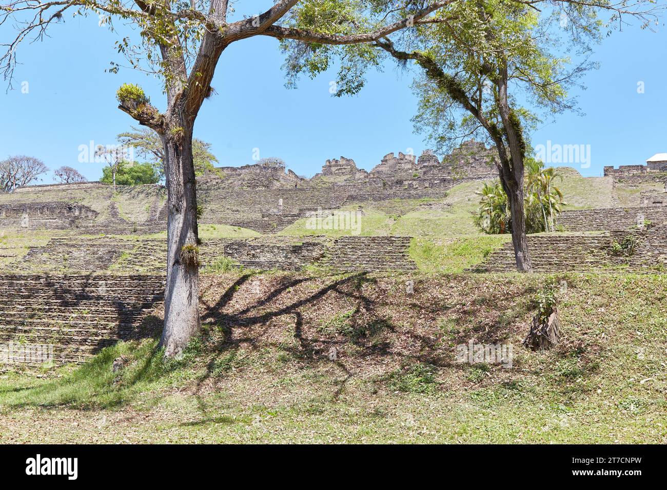 The spectacular Mayan pyramid city of Tonina in Ocosingo, Chiapas Stock ...