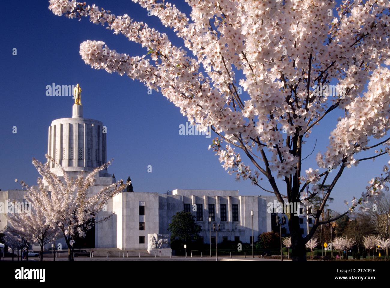 Oregon State Capitol with decorative plum, State Capitol State Park ...