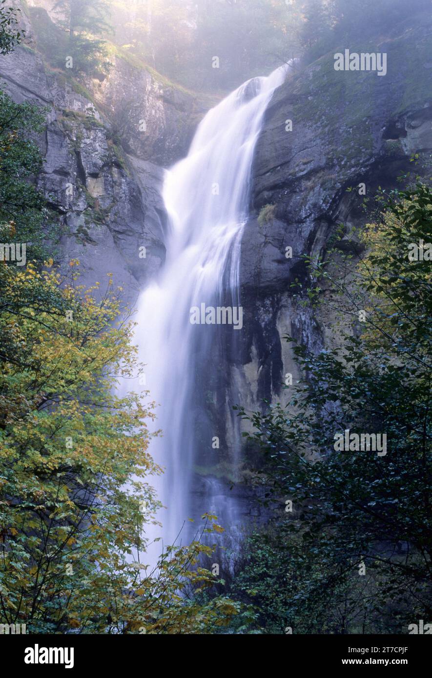 Golden Falls, Golden & Silver Falls State Park, Oregon Stock Photo - Alamy