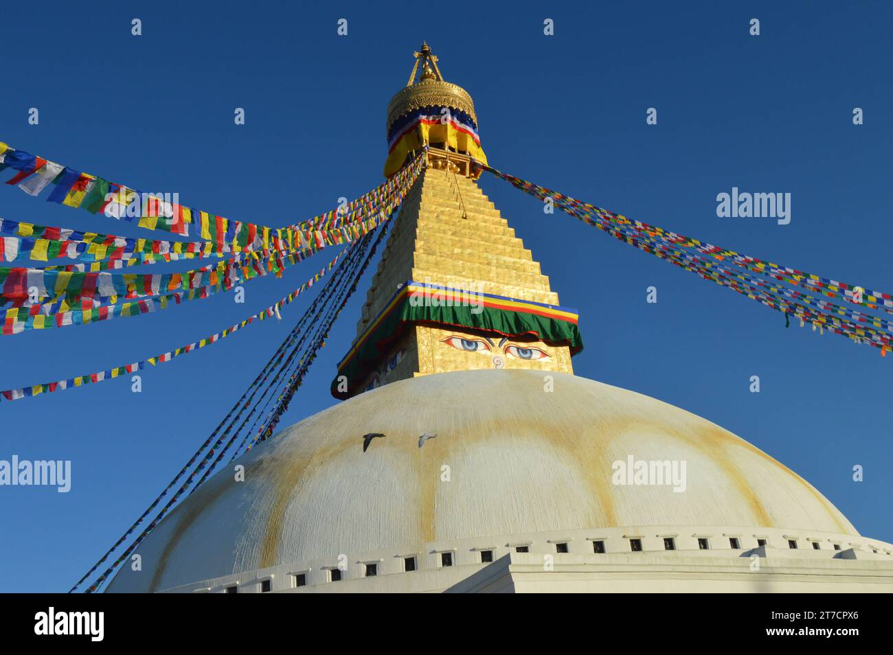 Bauddha Radiance: Stupa's Cultural Symphony" "Bauddha Tapestry: Stupa ...