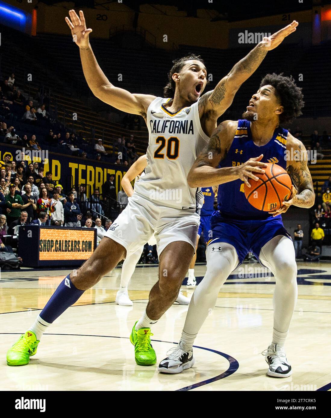 Haas Pavilion Berkeley Calif, USA. 13th Nov, 2023. U.S.A. Cal State ...