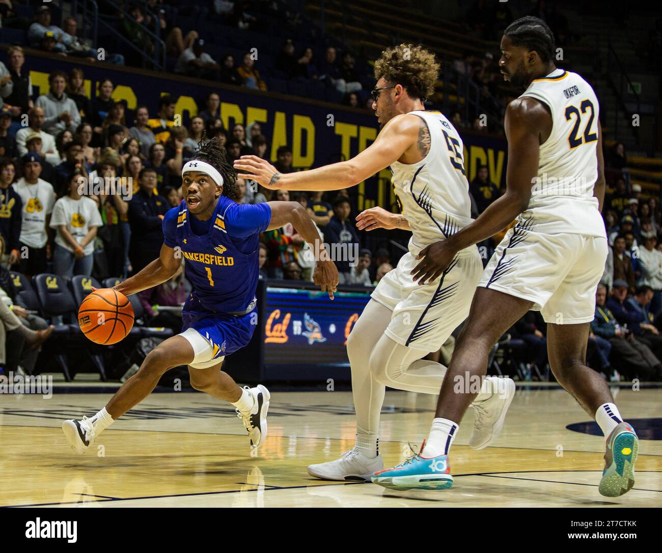 Haas Pavilion Berkeley Calif, USA. 13th Nov, 2023. U.S.A. Cal State ...