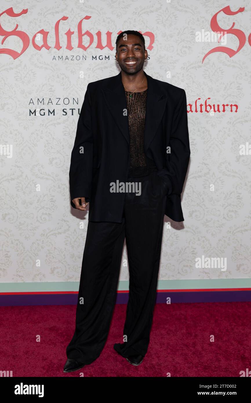 Los Angeles, USA. 14th Nov, 2023. David Alan Madrick attends the arrivals of the Los Angeles ...