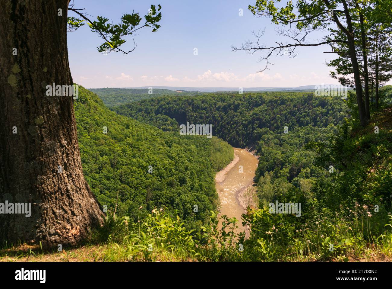 The Genesee River at Letchworth State Park in New York State Stock ...