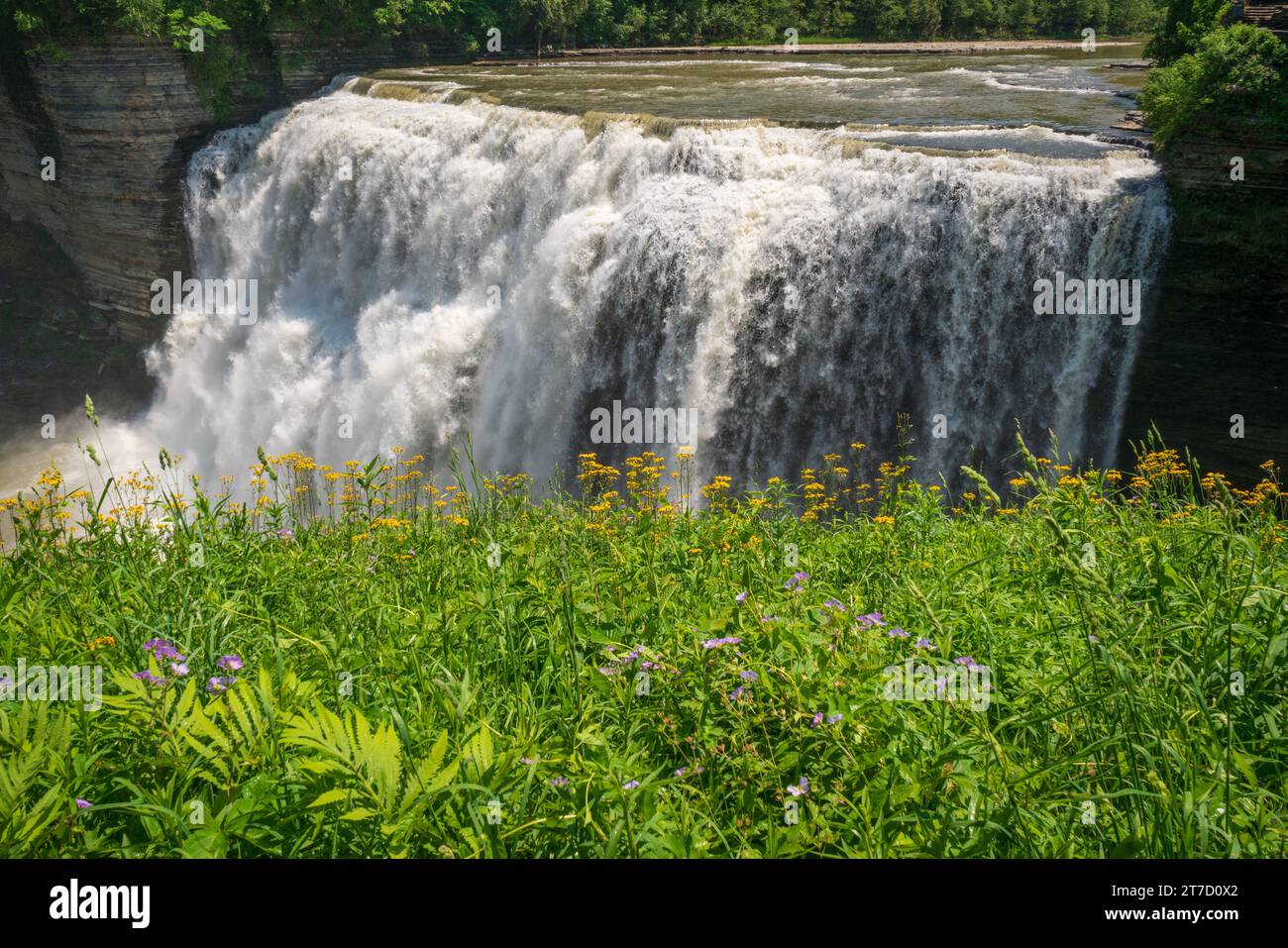 Waterfall at Letchworth State Park, NY Stock Photo - Alamy