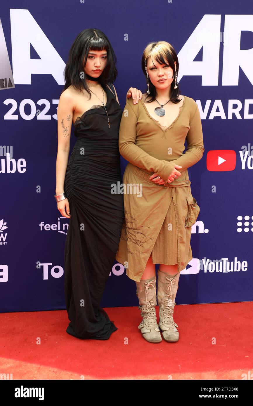 Cat and calmell hi-res stock photography and images - Alamy