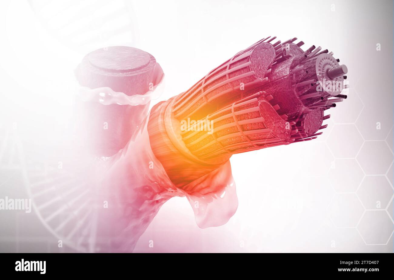 Human Vein anatomy on abstract science background. 3d illustration ...