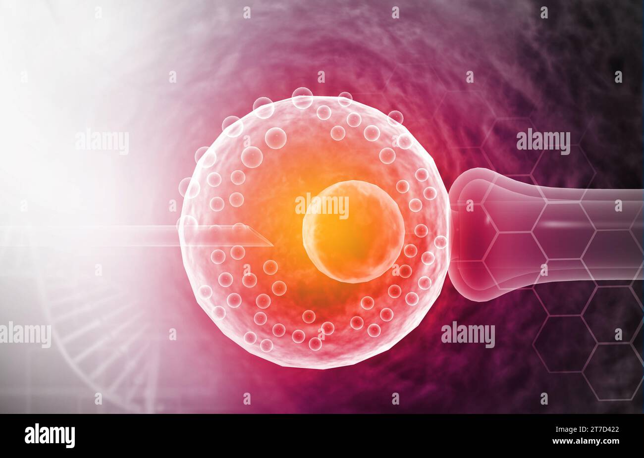 Laboratory microscopic view of in vitro fertilization. 3d illustration ...