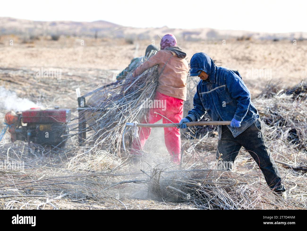 Process tree hi-res stock photography and images - Alamy