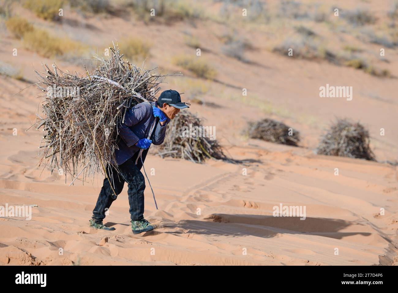 Process tree hi-res stock photography and images - Alamy