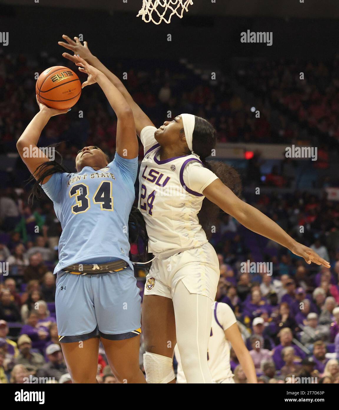 Baton Rouge, USA. 14th Nov, 2023. LSU Lady Tigers guard Aneesah Morrow ...