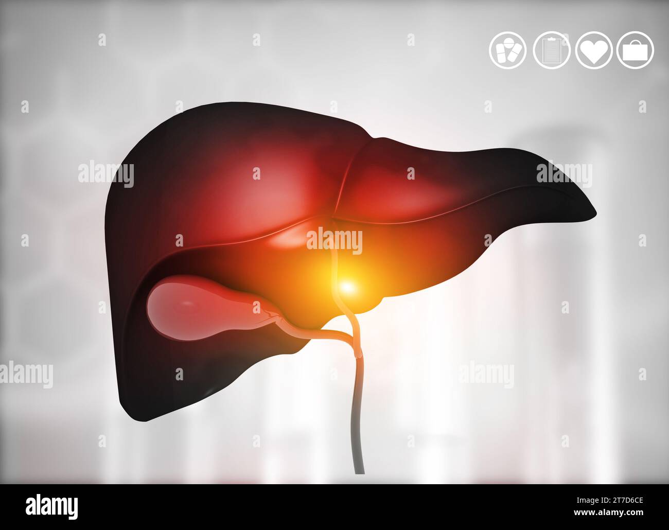 Human Liver Anatomy on medical background. 3d illustration Stock Photo ...