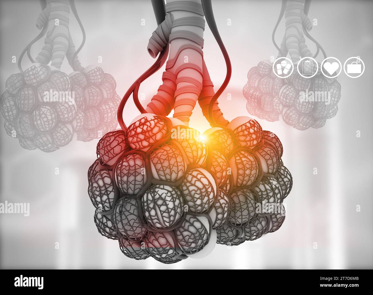 Alveoli in the lungs. 3d render Stock Photo - Alamy
