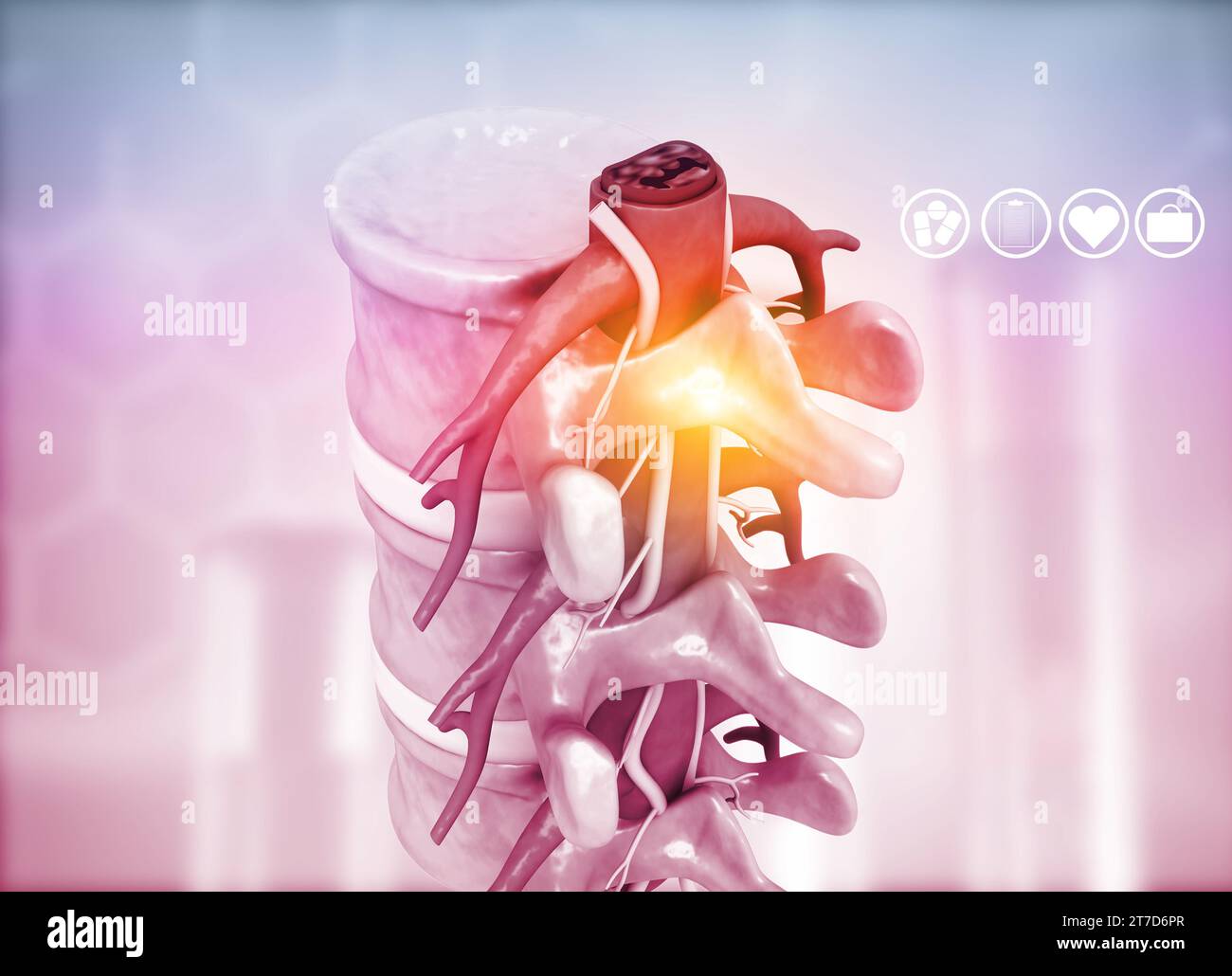 Human vertebrae anatomy science background. 3d illustration Stock Photo ...