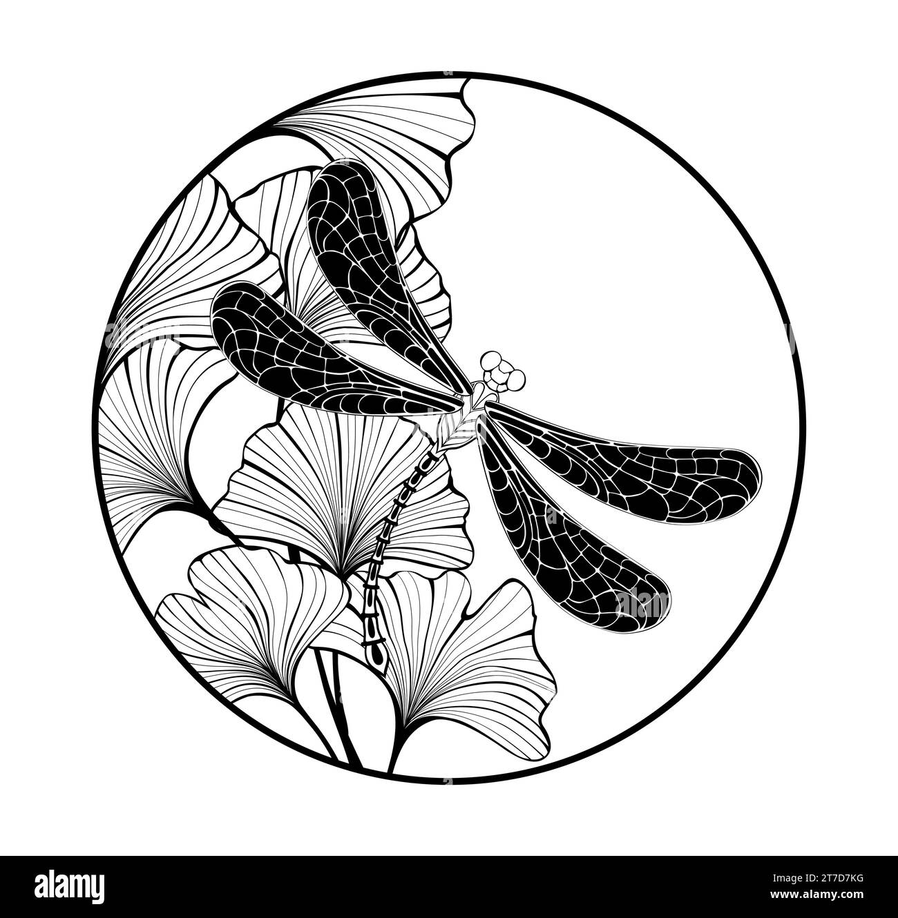 Round composition of artistically drawn, flying, contoured dragonfly ...
