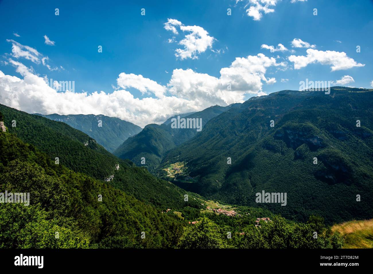 green summer pastures with yellow and white flowers on the Folgaria ...