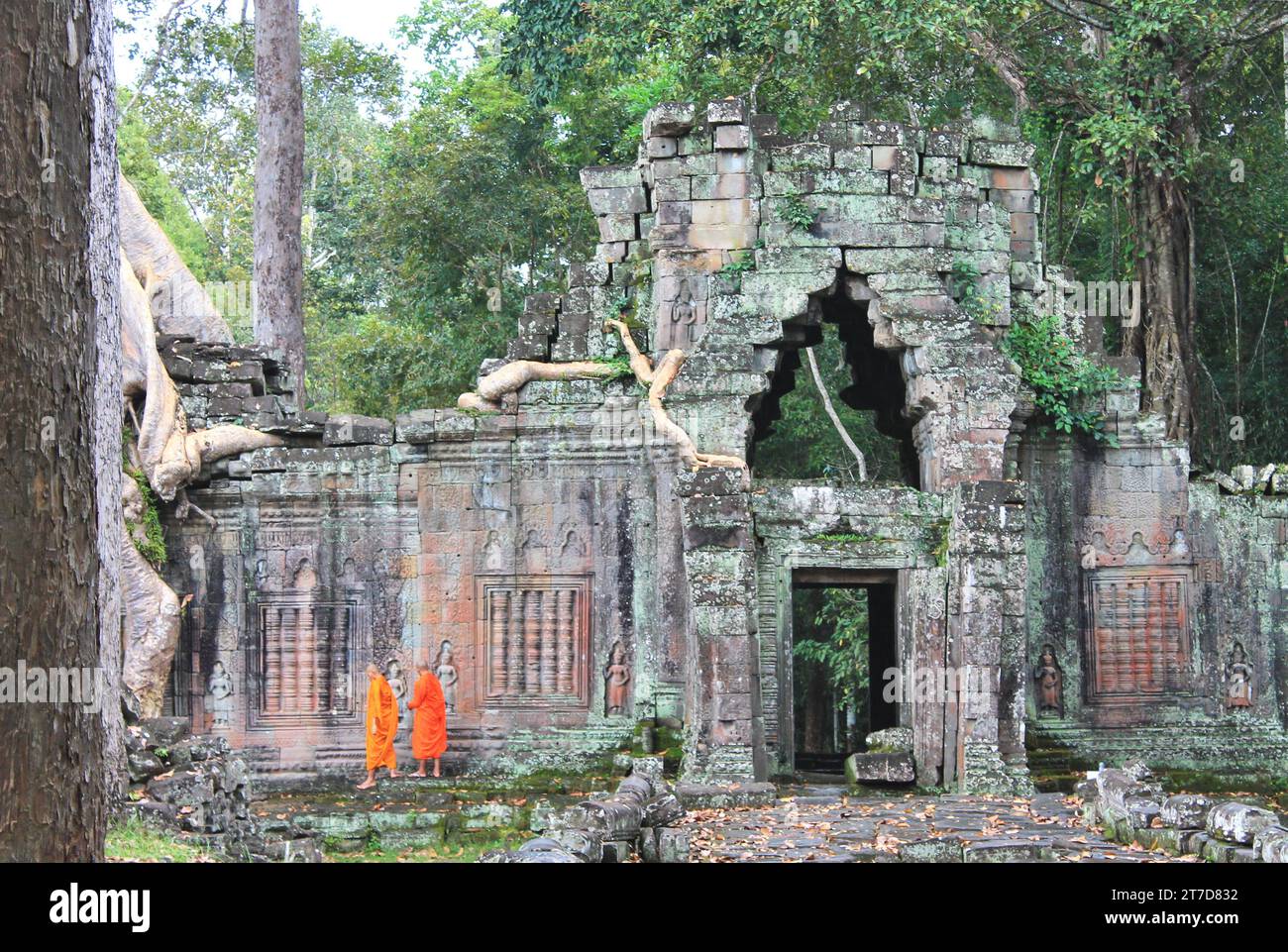 Orange robed Buddhist monks walk among the ancient ruins at Angkor ...
